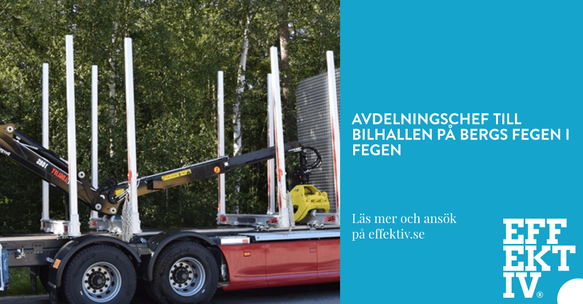 Avdelningschef till Bilhallen på Bergs Fegen i Fegen | Effektiv - för ...